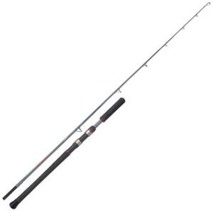 Canne Silure et Canarssier : Moulinet & Ensemble